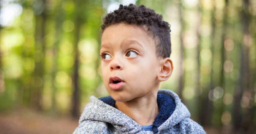 The Senses: Vision - Dana Foundation