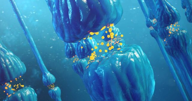 Neurotransmission: Neurotransmitters - Dana Foundation