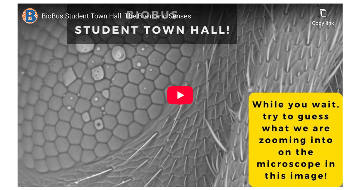 BioBus Student Town Hall: The Brain and Senses - Dana Foundation