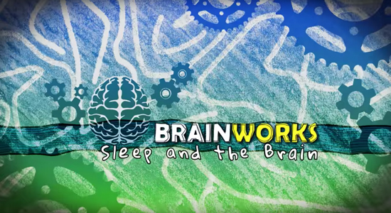 BrainWorks: Sleep and the Brain - Dana Foundation