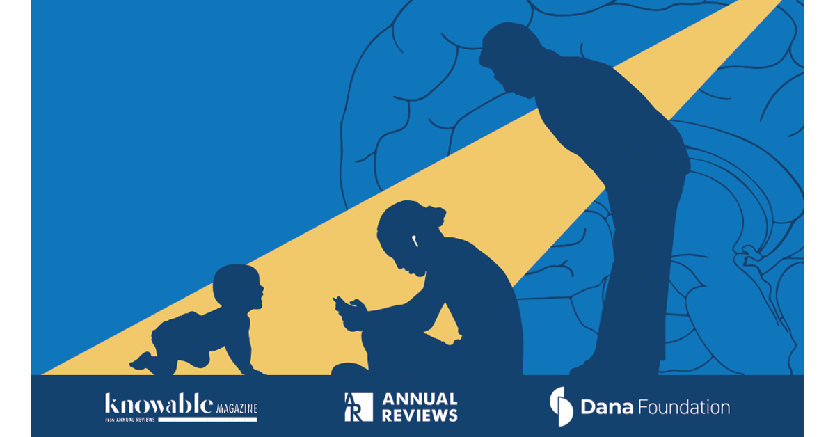 The teen brain: Mysteries and misconceptions - Dana Foundation