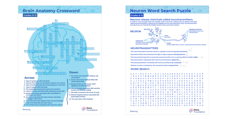 Puzzles for Kids Grades 9-12 - Dana Foundation