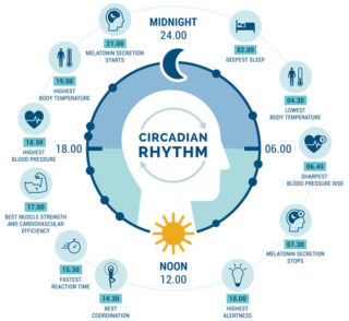 Understanding Sleep - Dana Foundation