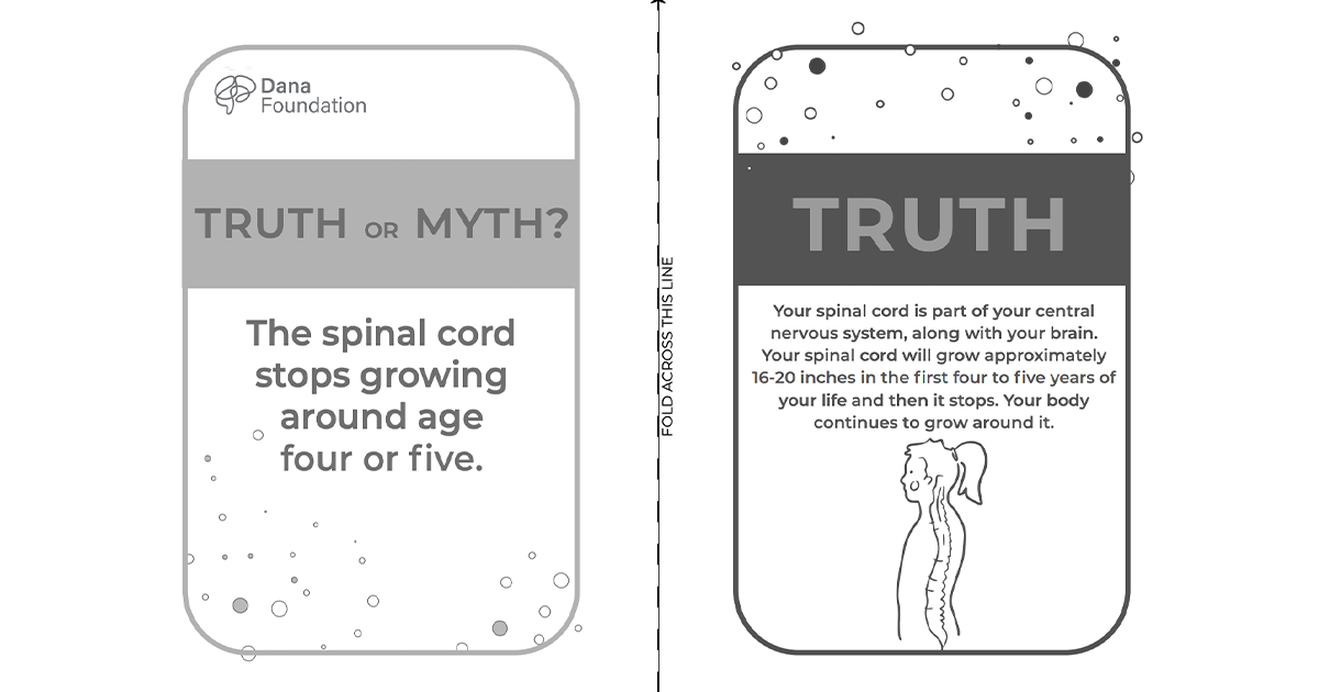 Truth or Myth Flash Cards (b & w) - Dana Foundation