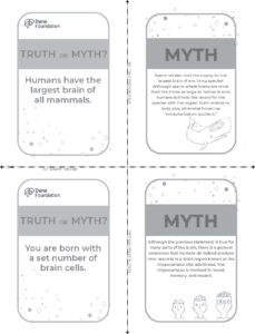 Truth or Myth Flash Cards (b & w) - Dana Foundation