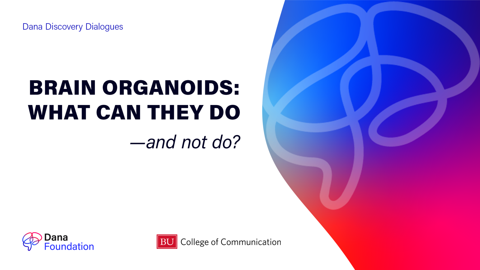 Brain Organoids: What Can They Do and Not Do? - Dana Foundation Brain Organoids: What Can They Do and Not Do? - Dana Foundation
